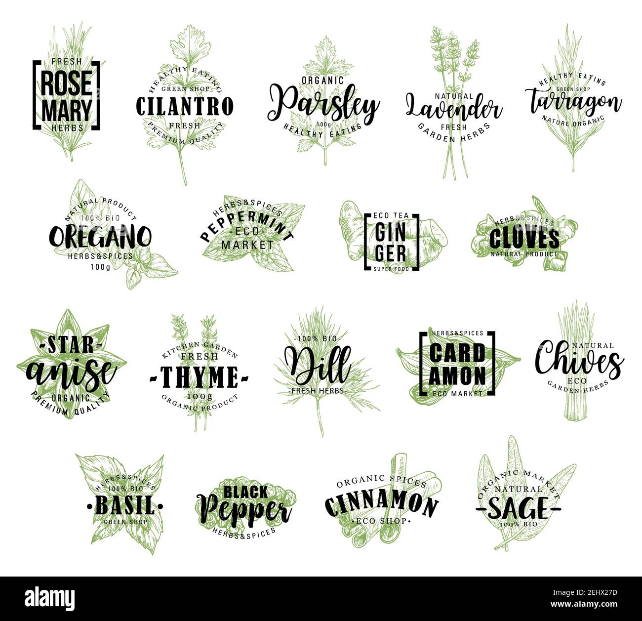 Spice and herb vector lettering. Rosemary and cilantro, parsley and ...