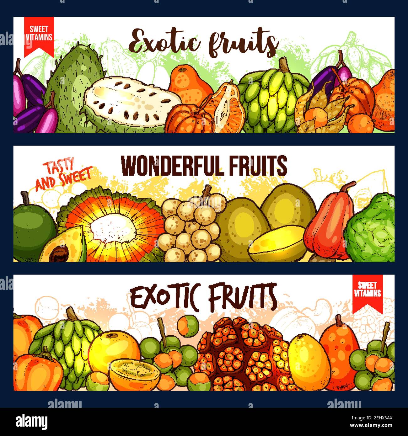 Exotic fruits vector sketch banners. Bergamot and cashew, jackfruit and ...