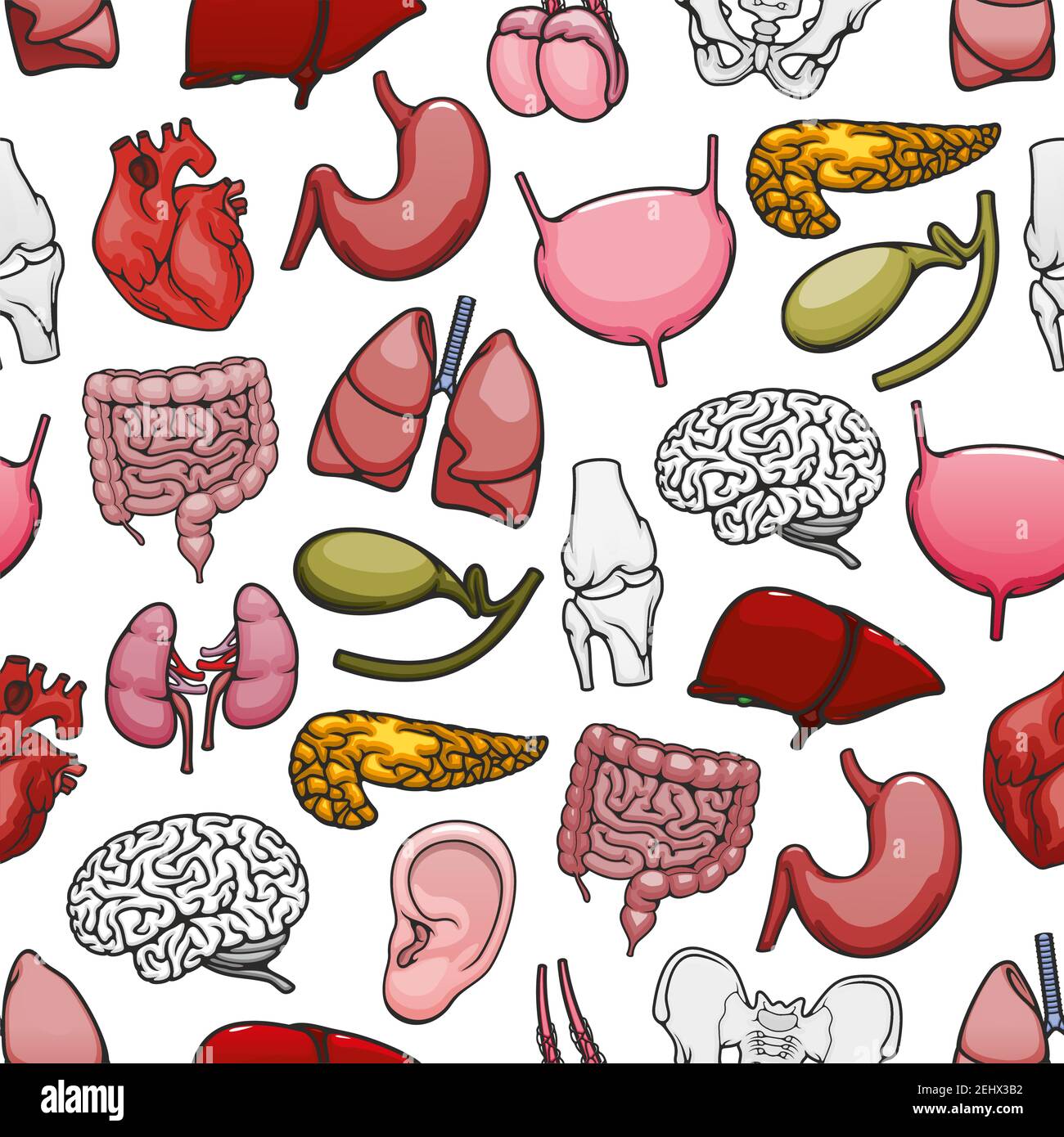 Human organs, joints and bones pattern. Vector seamless design of ...