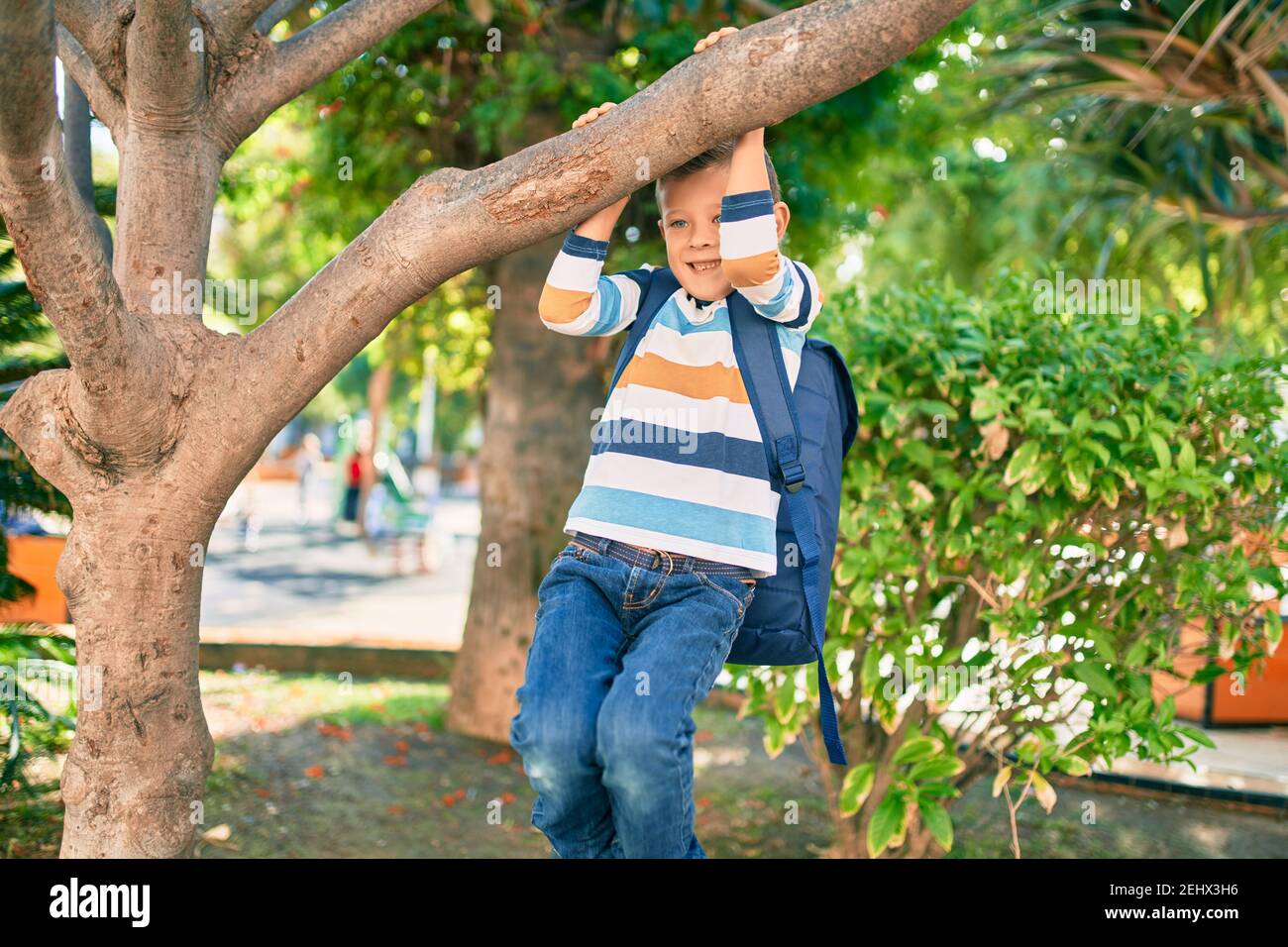 Adorable caucasian student boy smiling happy hanging on tree branch at ...