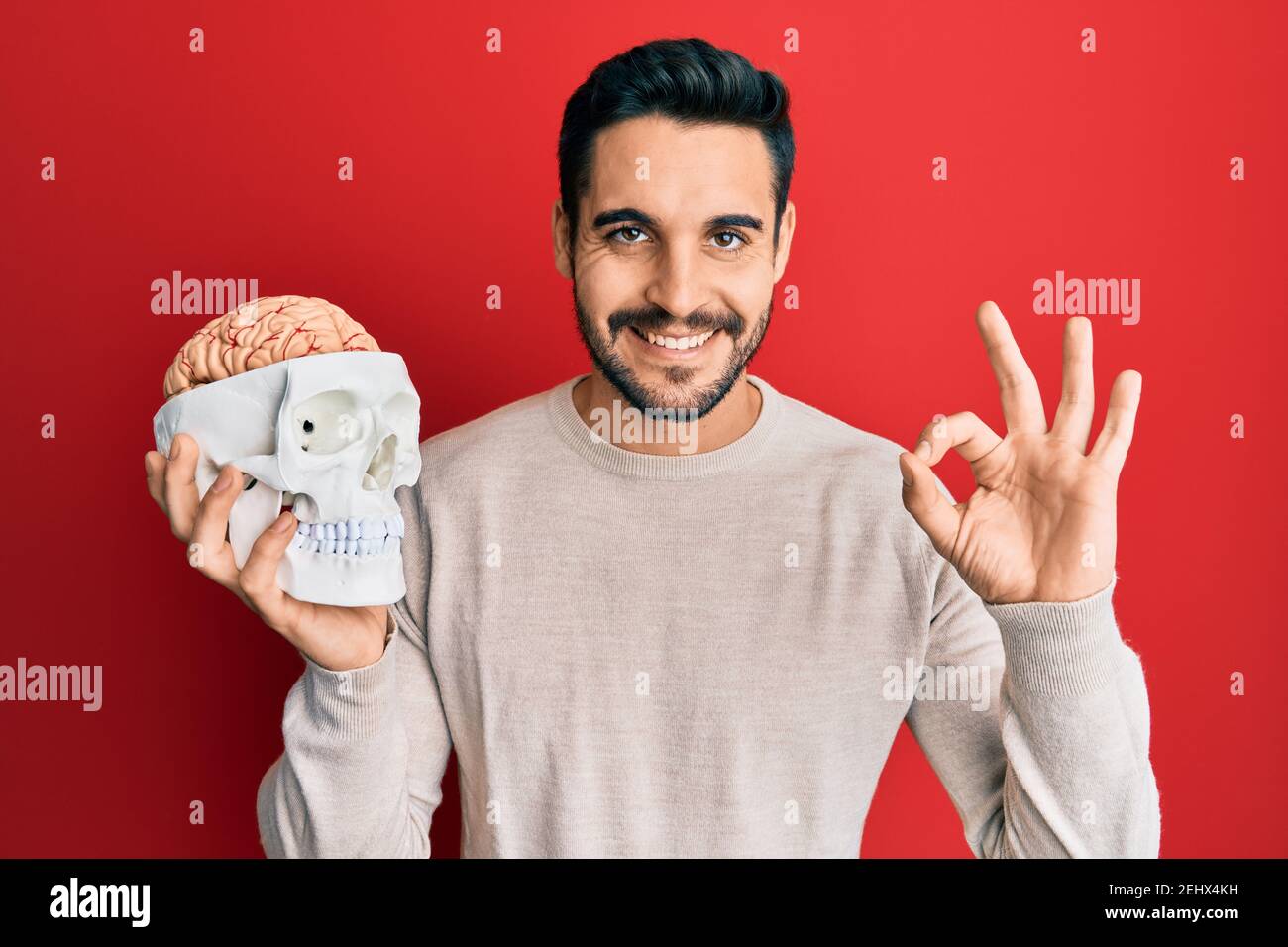 Young hispanic man holding skull with brain doing ok sign with fingers ...