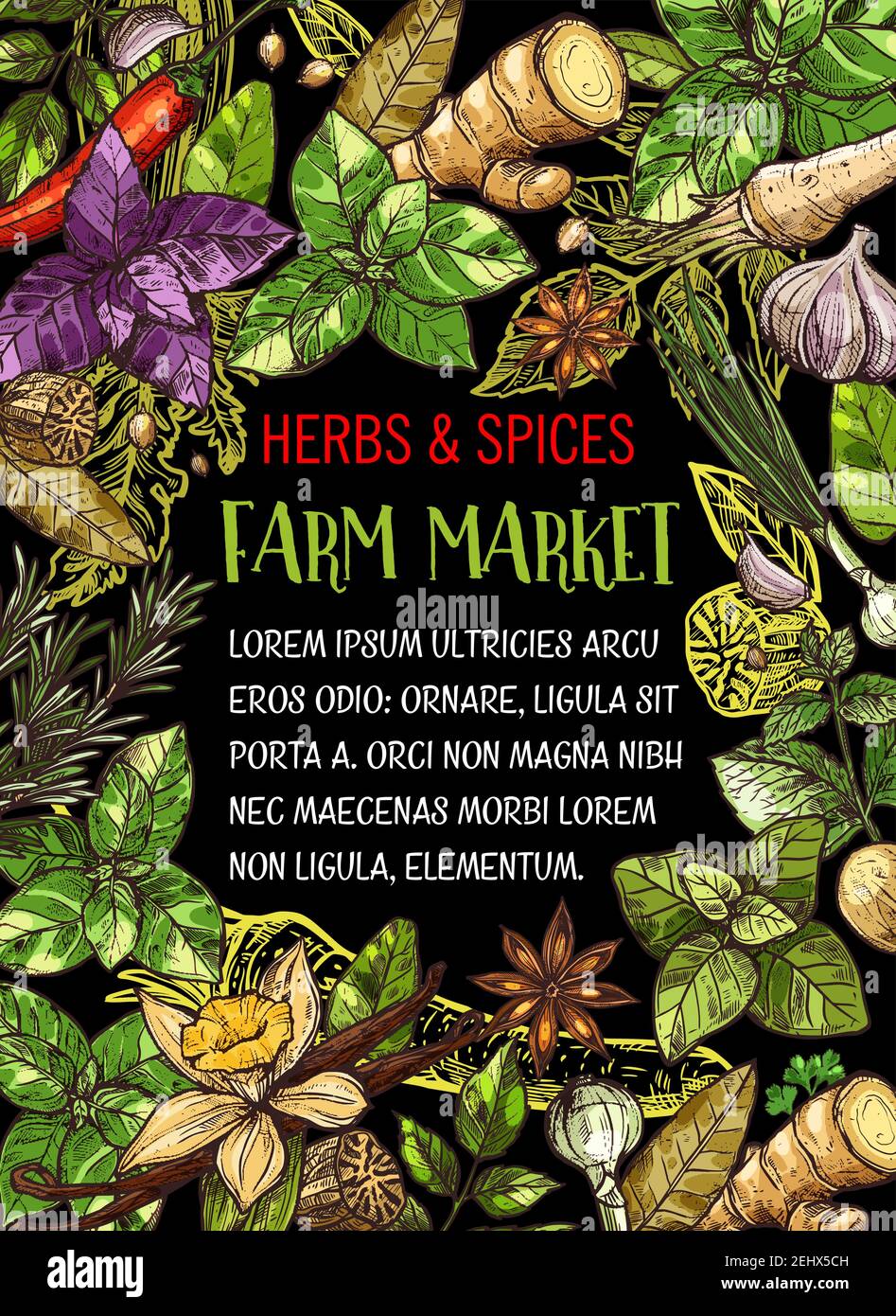 Herb spice spices market agriculture Stock Vector Images - Alamy