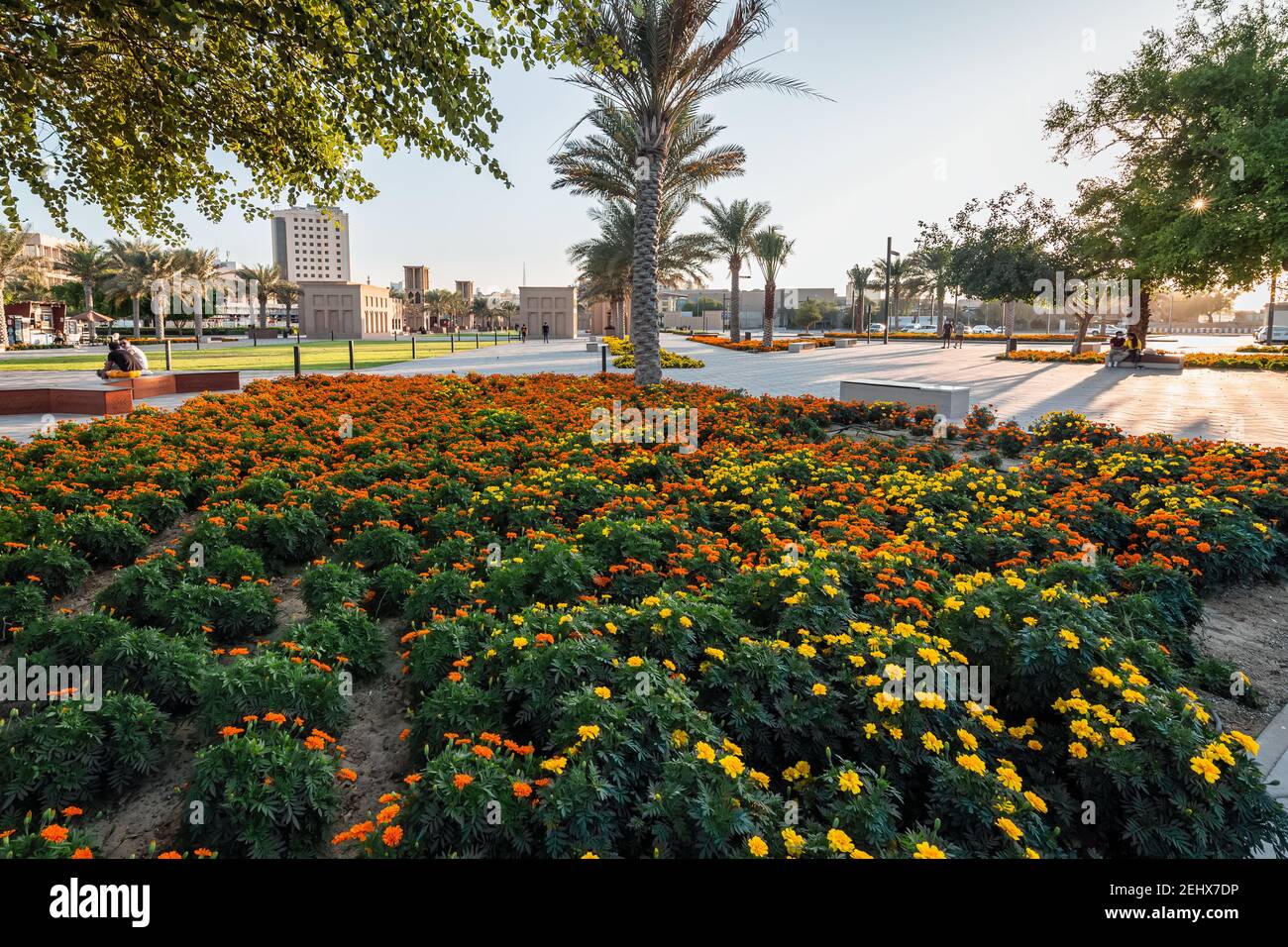 Wonderful evening view in Dammam park - City : Dammam, Saudi Arabia ...