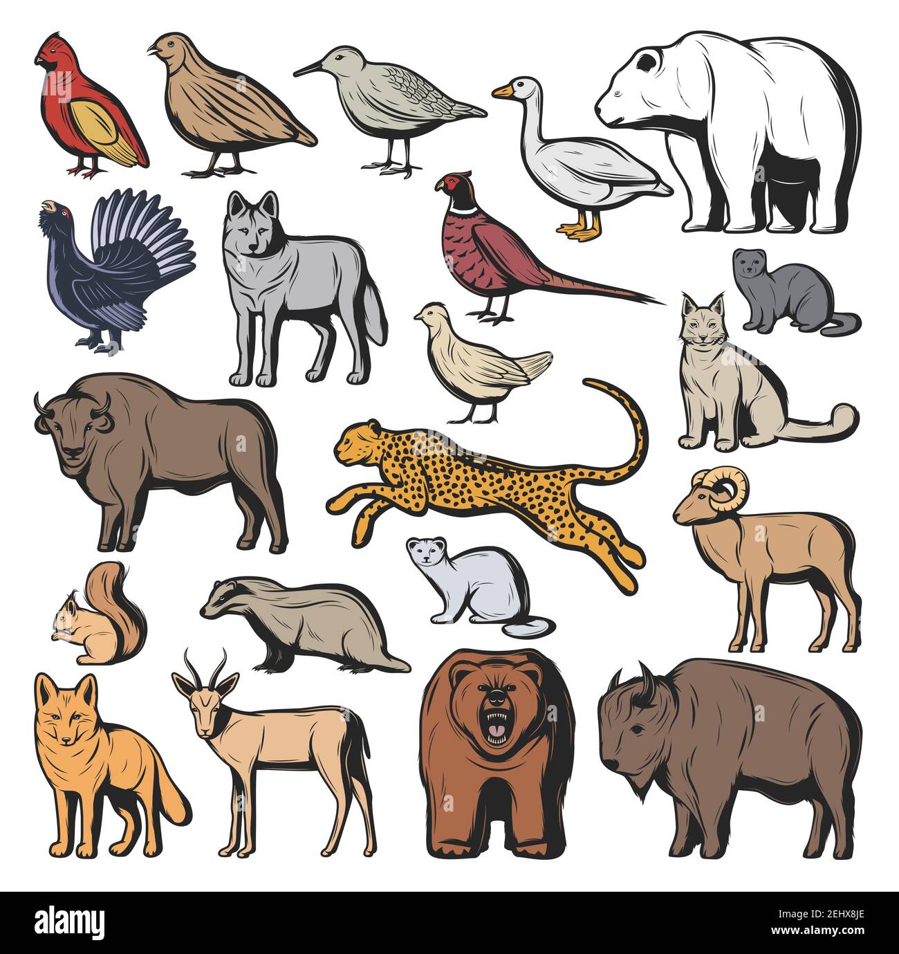 Forest and savannah animal vector characters, hunting sport. Bear and ...