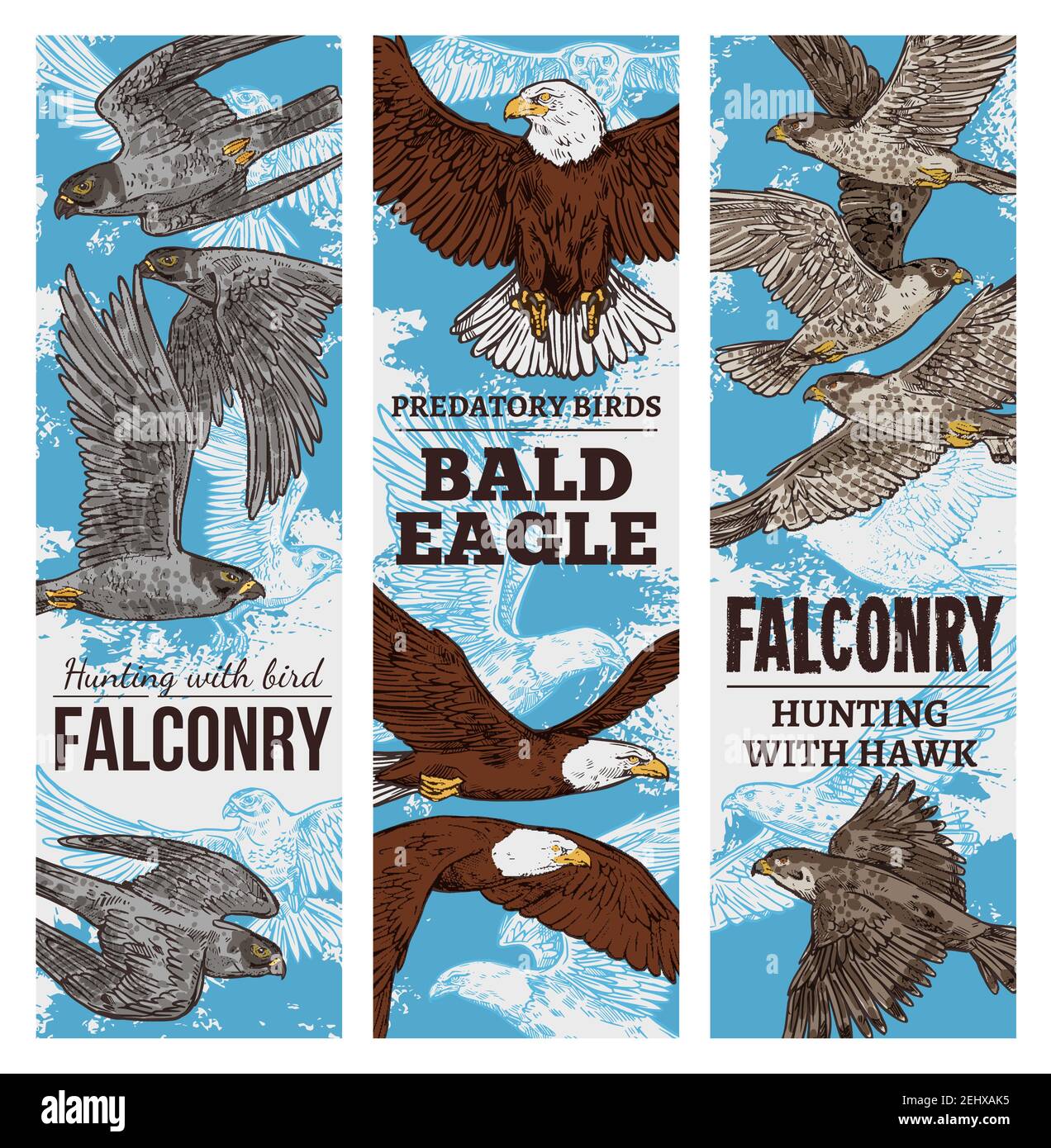 Peregrine falcon Stock Vector Images - Alamy