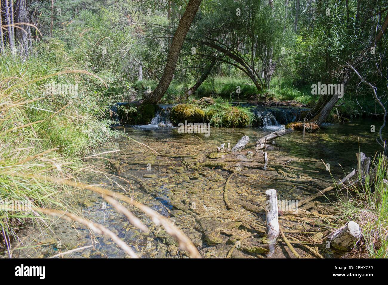 landscape of the cuervo river, cuenca, spain Stock Photo - Alamy