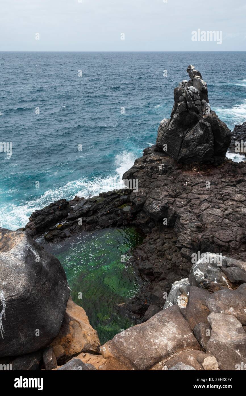 Punta Suarez, Espanola Island, Galapagos islands, Ecuador Stock Photo ...
