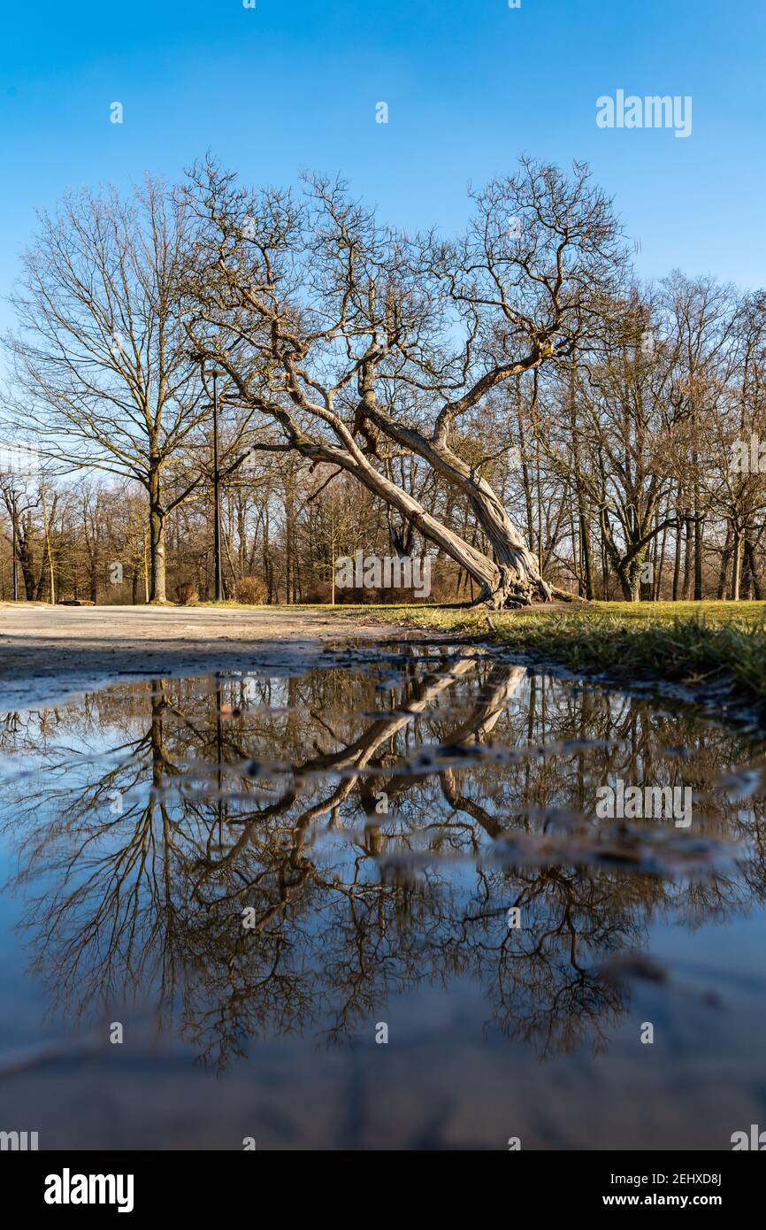 Crooked pathway hi-res stock photography and images - Alamy