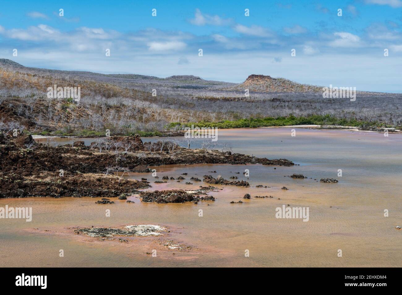 Floreana Island, Galapagos islands, Ecuador Stock Photo - Alamy