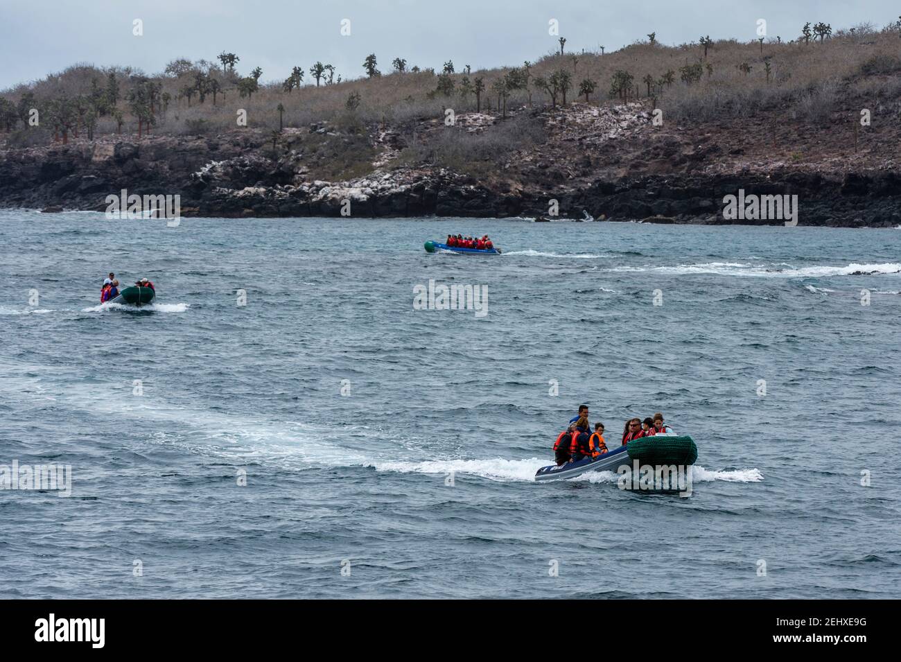 Santa Fe Island, Galapagos islands. Ecuador Stock Photo - Alamy