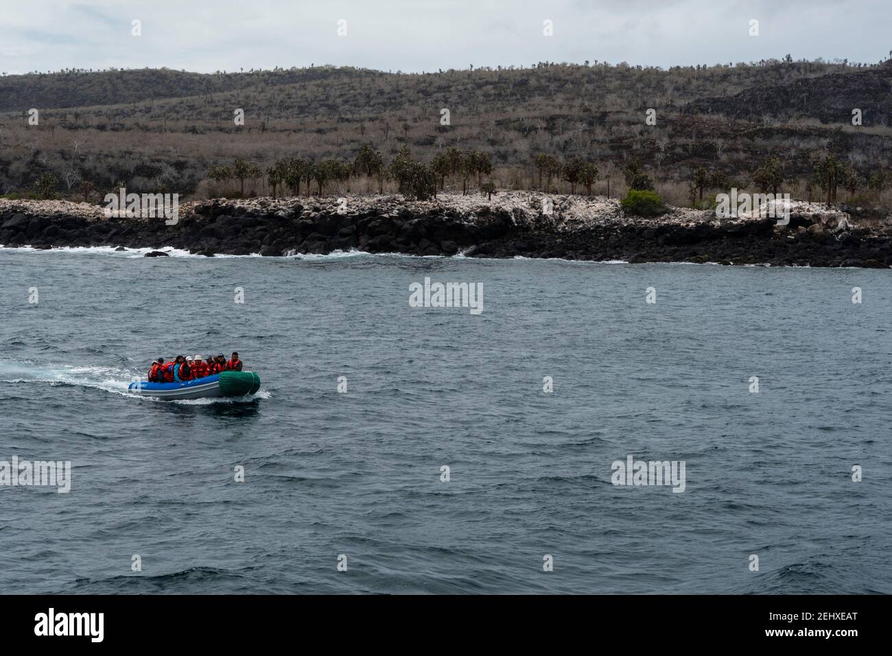 Santa Fe Island, Galapagos islands. Ecuador Stock Photo - Alamy