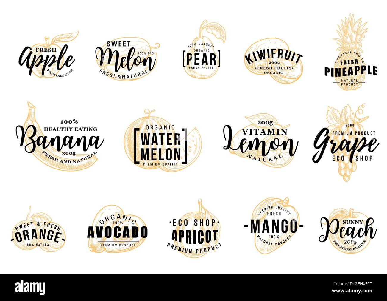 Kiwifruit orchard Stock Vector Images - Alamy