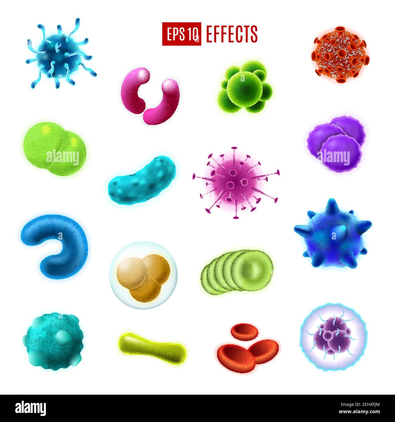 Bacteria cells, viruses and germs vector icons of infectious disease ...