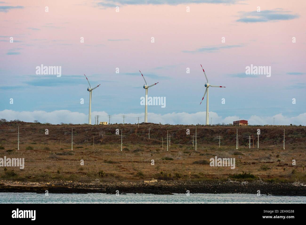Baltra Island, Galapagos islands, Ecuador Stock Photo - Alamy