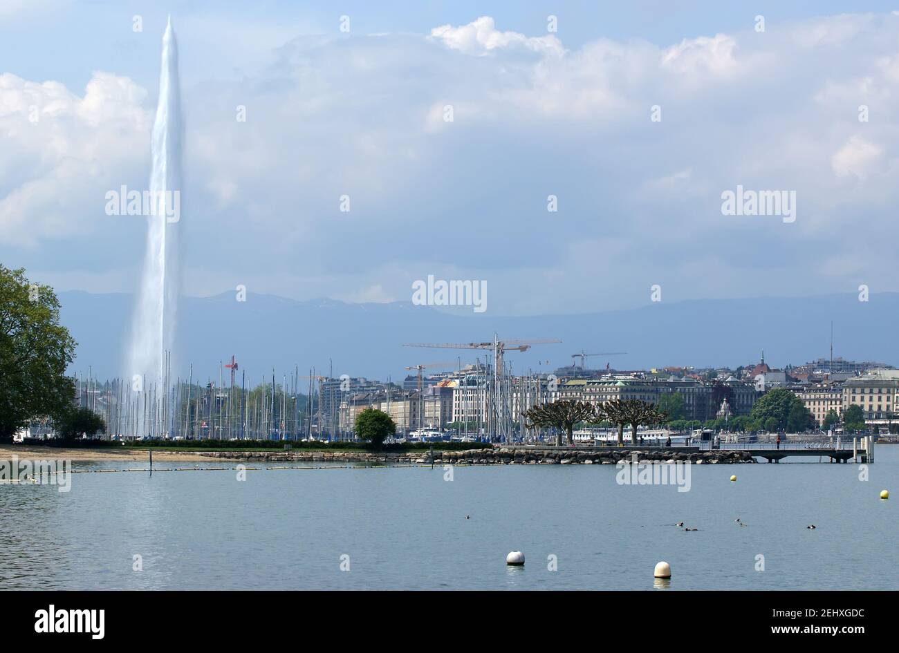 Switzerland, Geneva, view of Lake Geneva and the city Stock Photo - Alamy