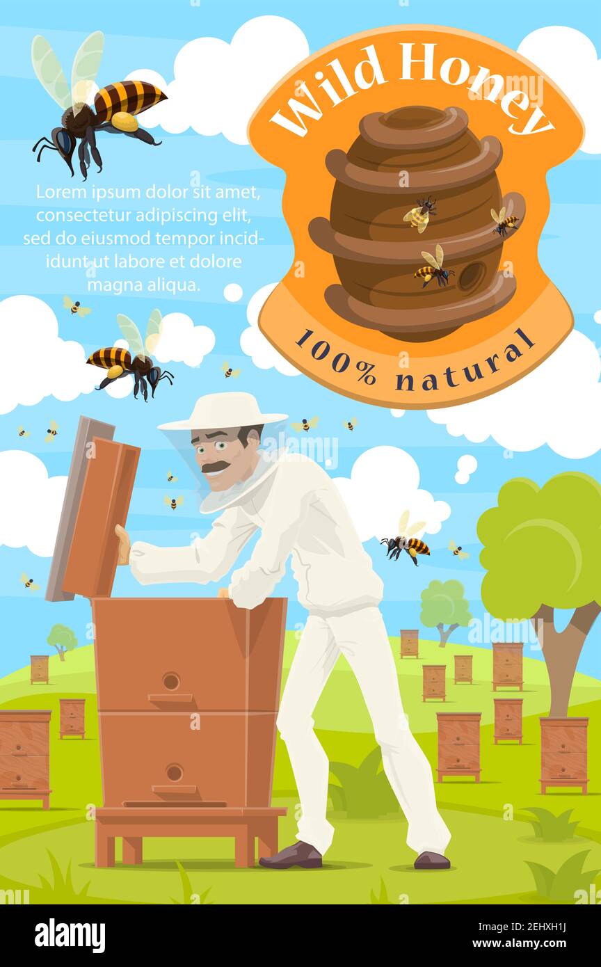 Beekeeper at apiary, honey beekeeping farm poster. Vector cartoon ...