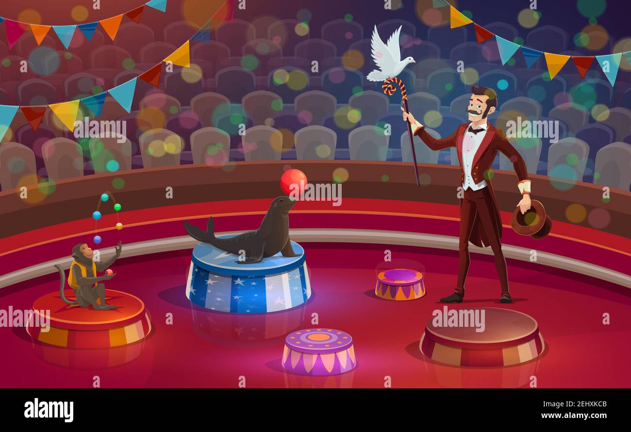 Circus arena, magician conjurer juggler or animal handler with dove on ...