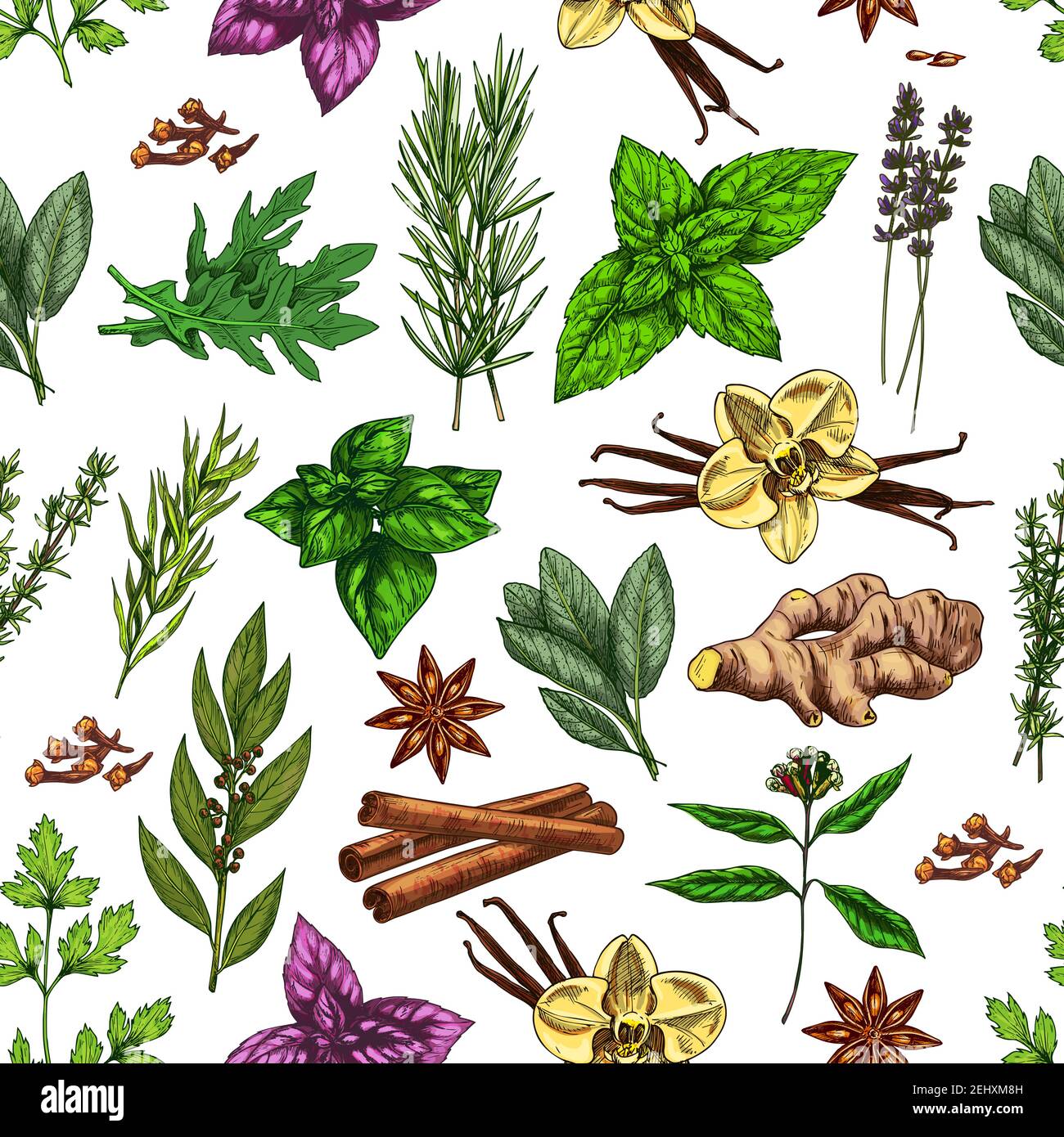 Spices and herbs seamless pattern background with food seasonings and ...