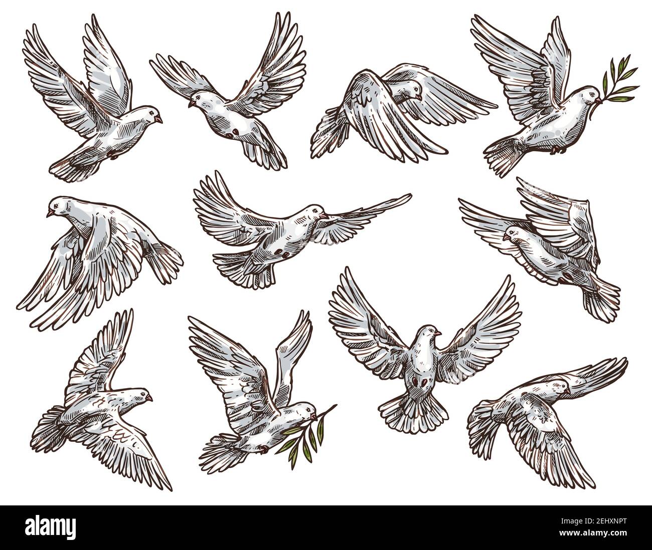 Dove of peace with olive branch vector sketches of flying white pigeon ...
