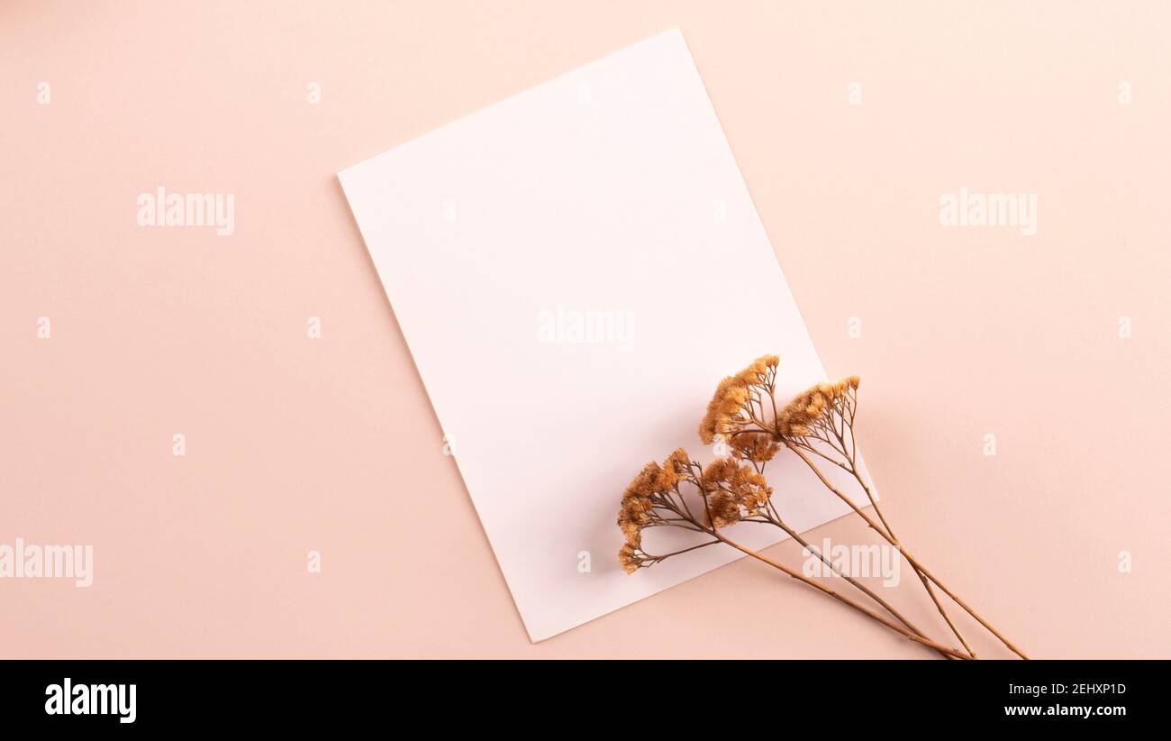 white sheet for congratulations on a bright background Stock Photo - Alamy