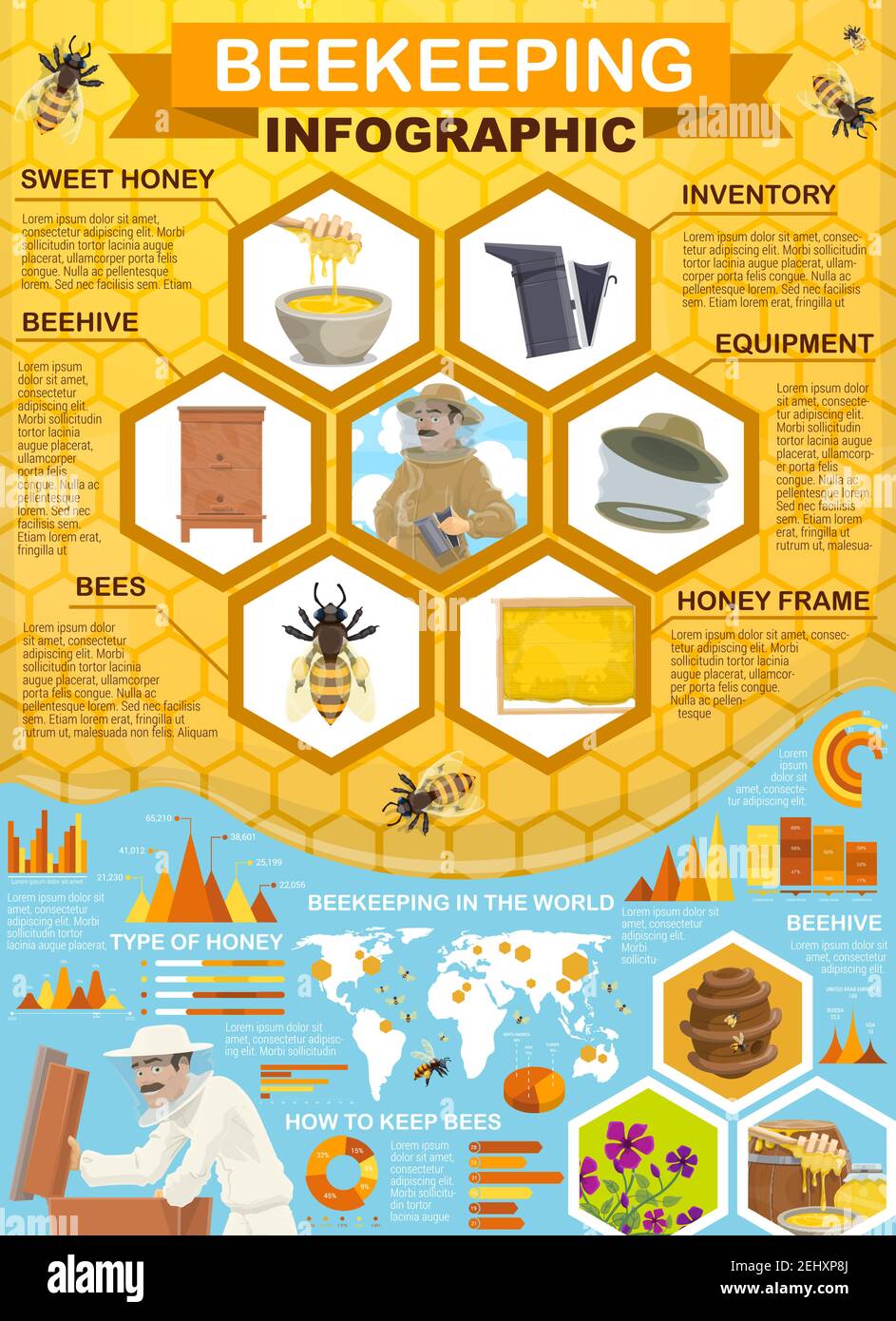 Beekeeping, honey collection and apiary infographic. Vector statistics ...