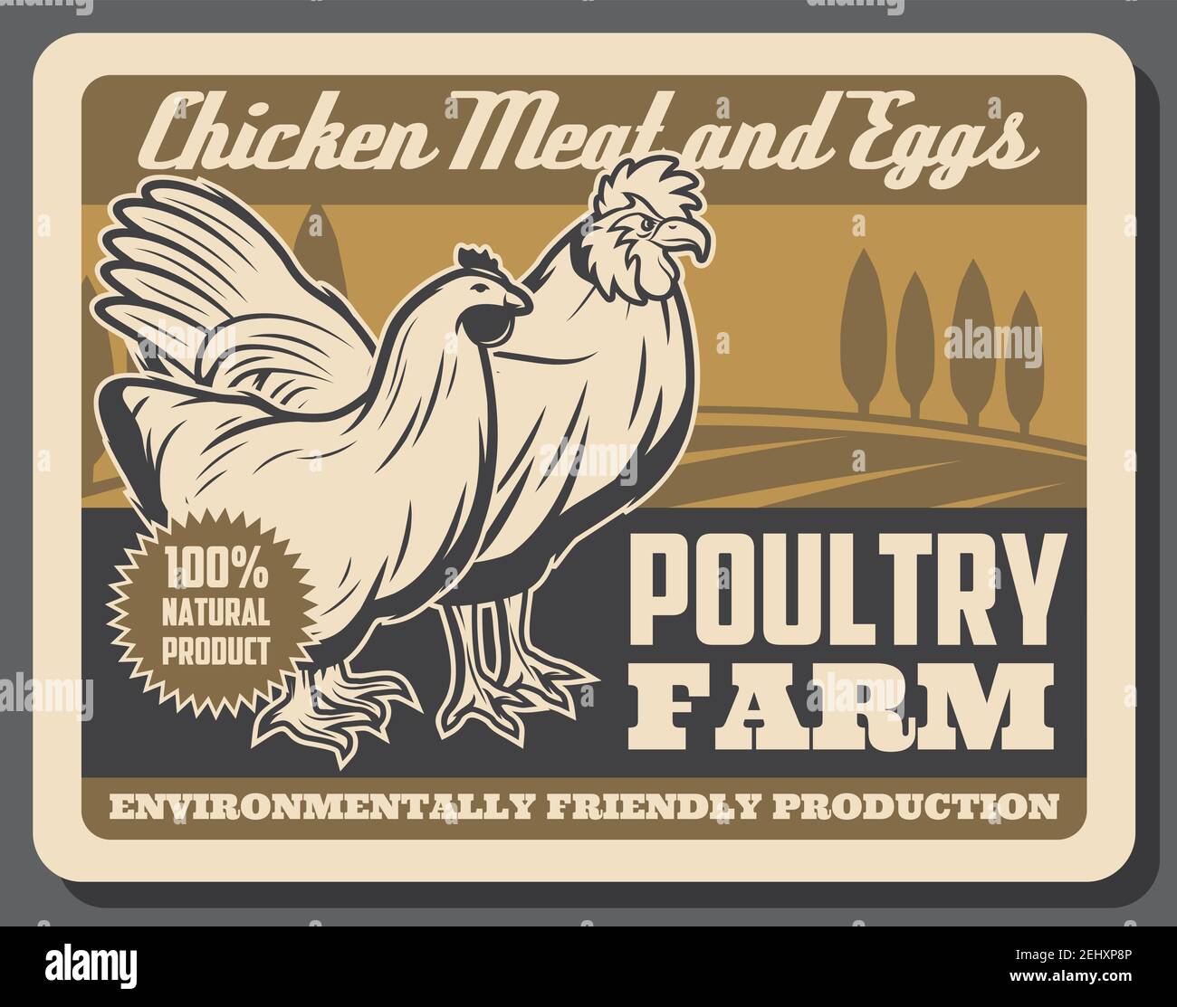 Poultry farm chicken meat and eggs vector design with hen and rooster ...