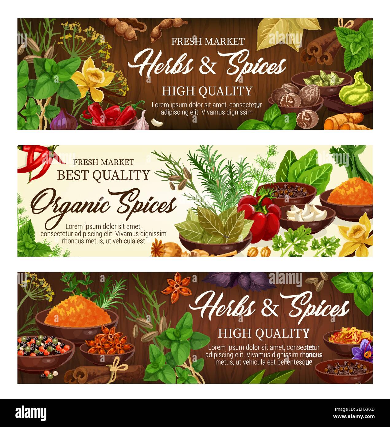 Herbs and spices, condiments and seasonings vector. Basil and vanilla ...