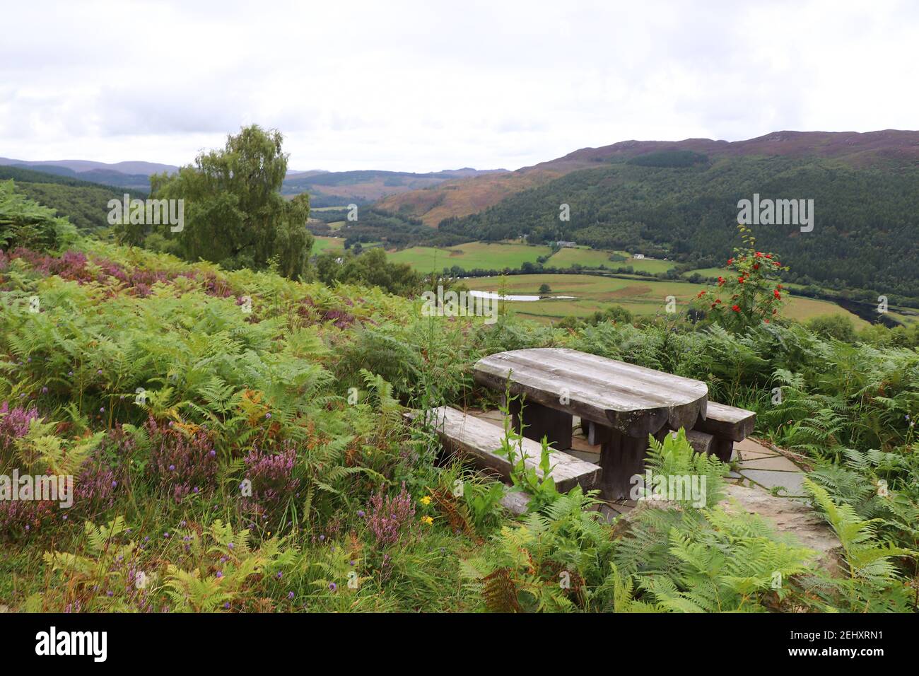 Heather walk hi-res stock photography and images - Alamy