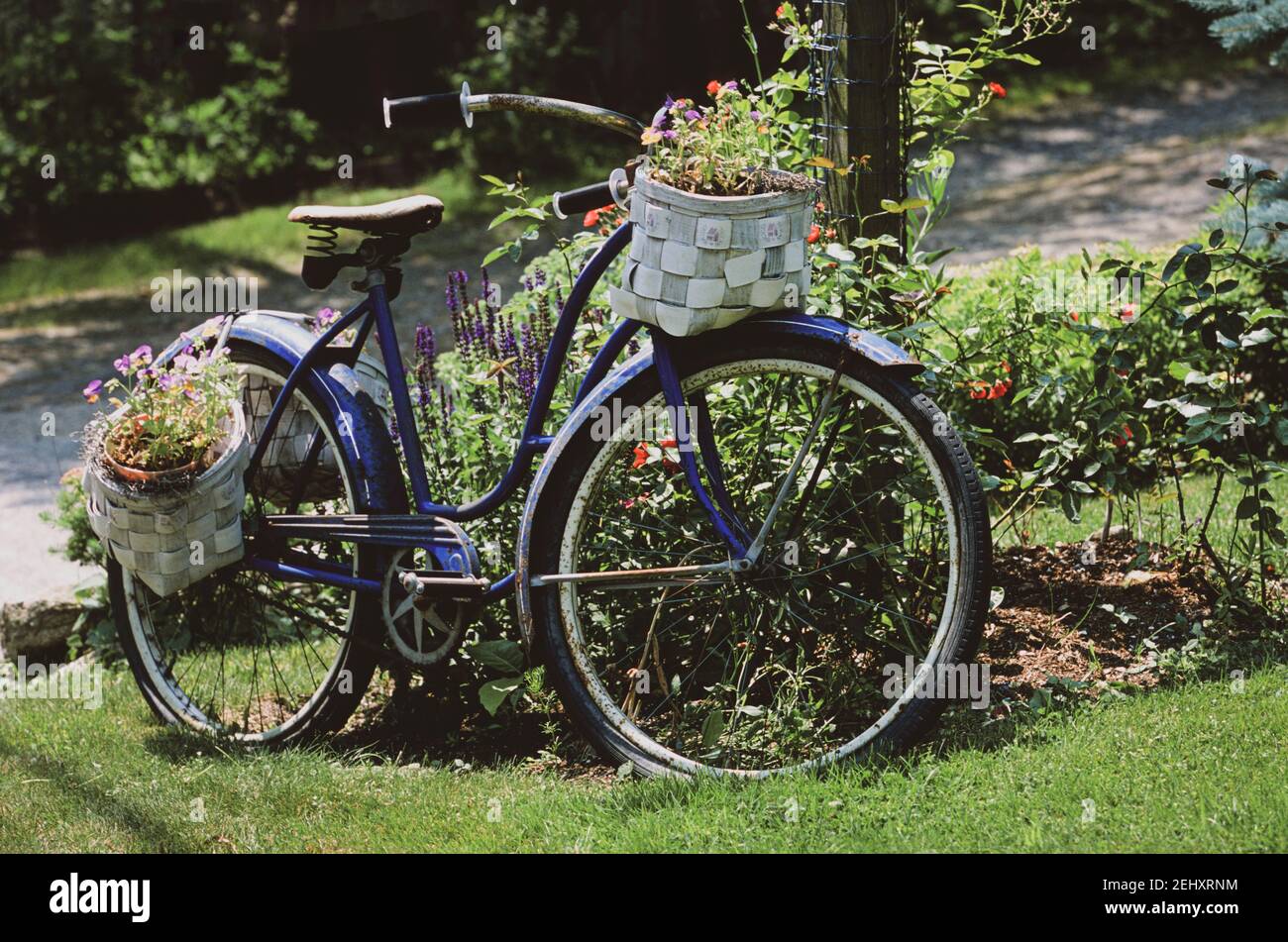 Bike scott hi-res stock photography and images - Alamy