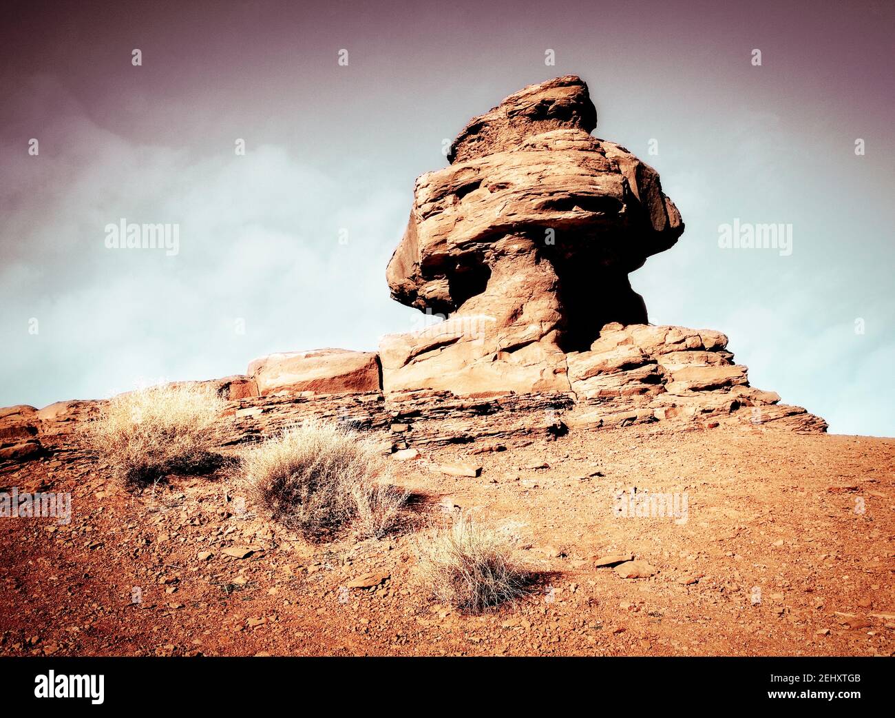 Desert Rock Mushroom High Resolution Stock Photography and Images - Alamy