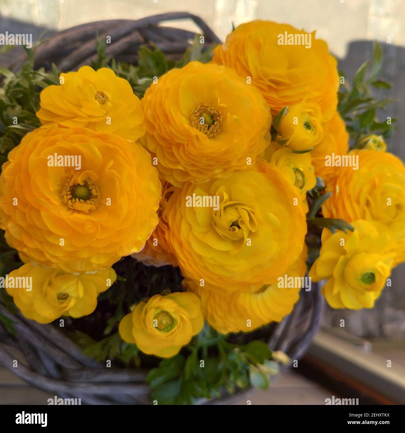 Closeup of a bouquet of yellow buttercup flowers Stock Photo - Alamy