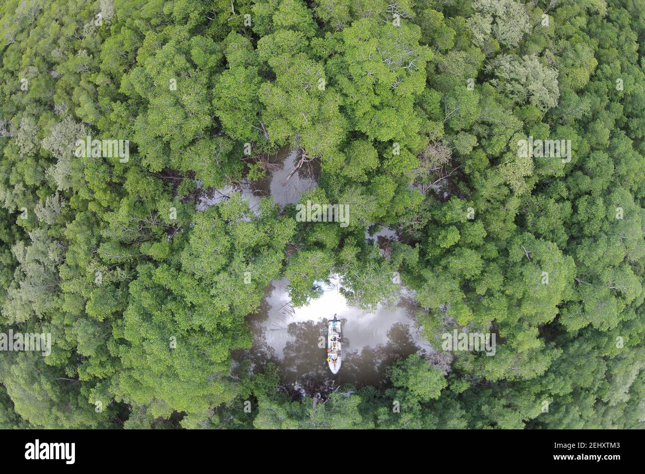 Aerial view of a wonderful forest Stock Photo - Alamy