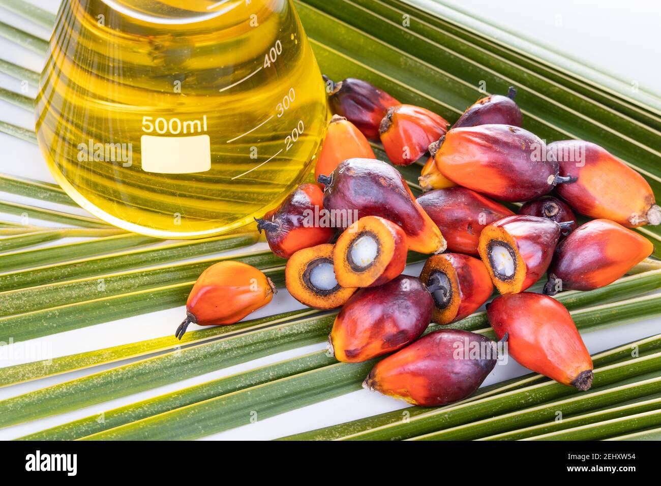 Biofuel vegetable oil hi-res stock photography and images - Alamy