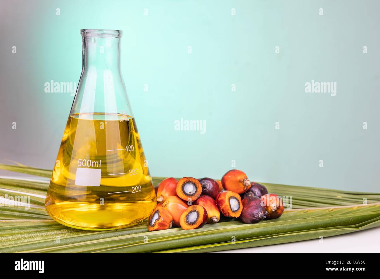 Oil palm research hi-res stock photography and images - Alamy