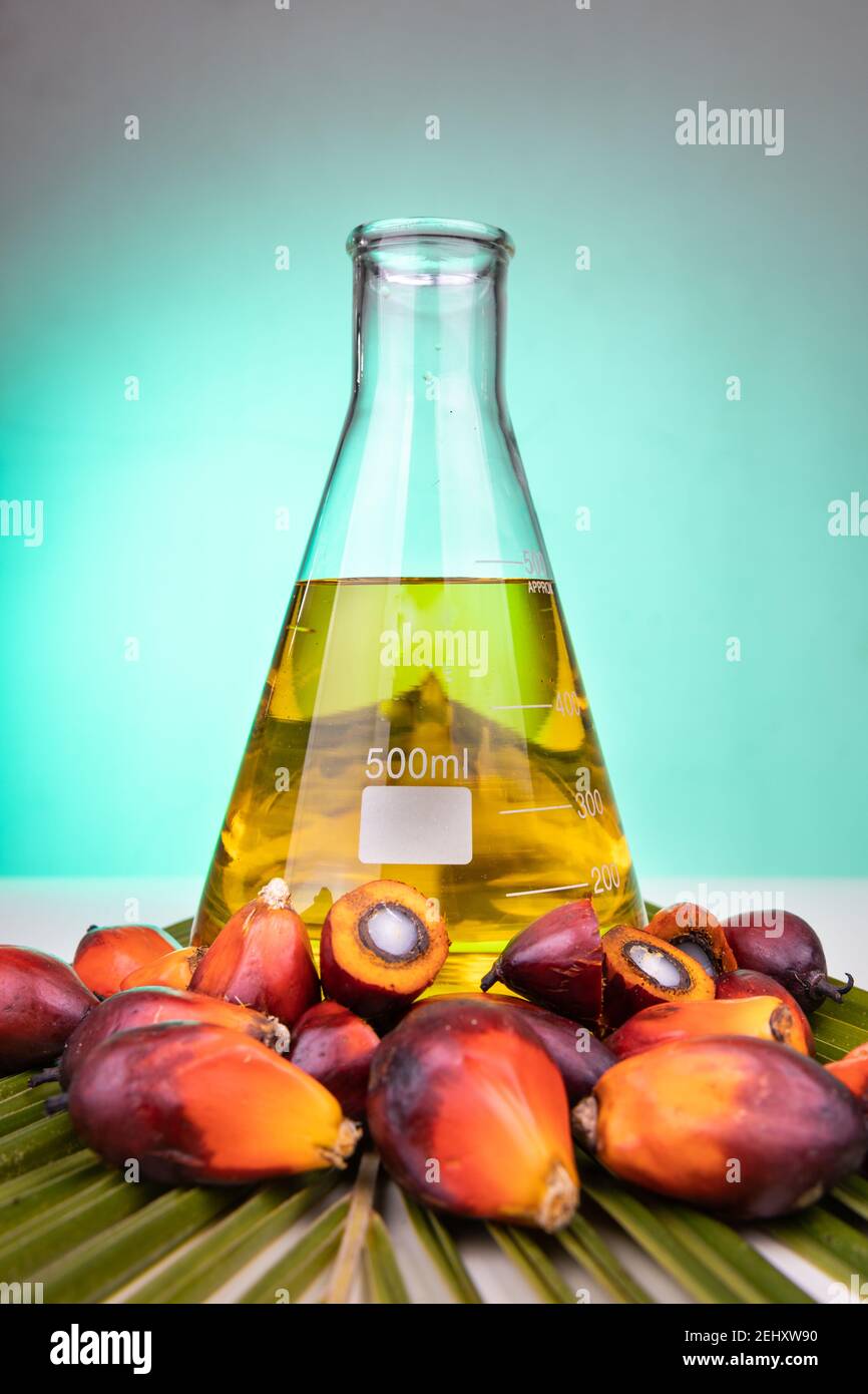 Biofuel laboratory hi-res stock photography and images - Alamy