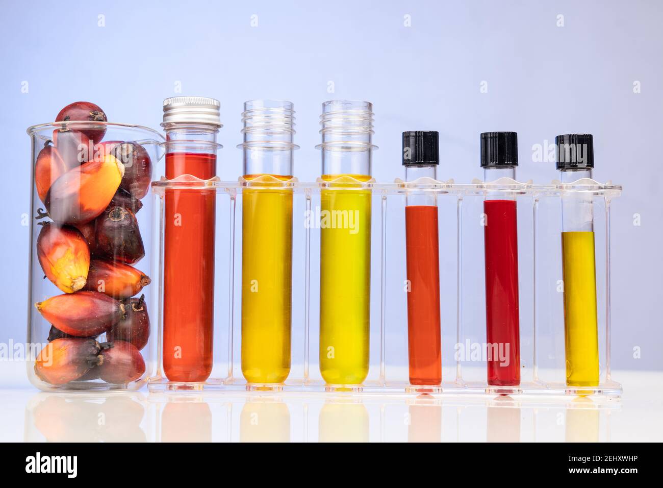 Red color unrefined palm oil and fruits with beaker test tube in ...