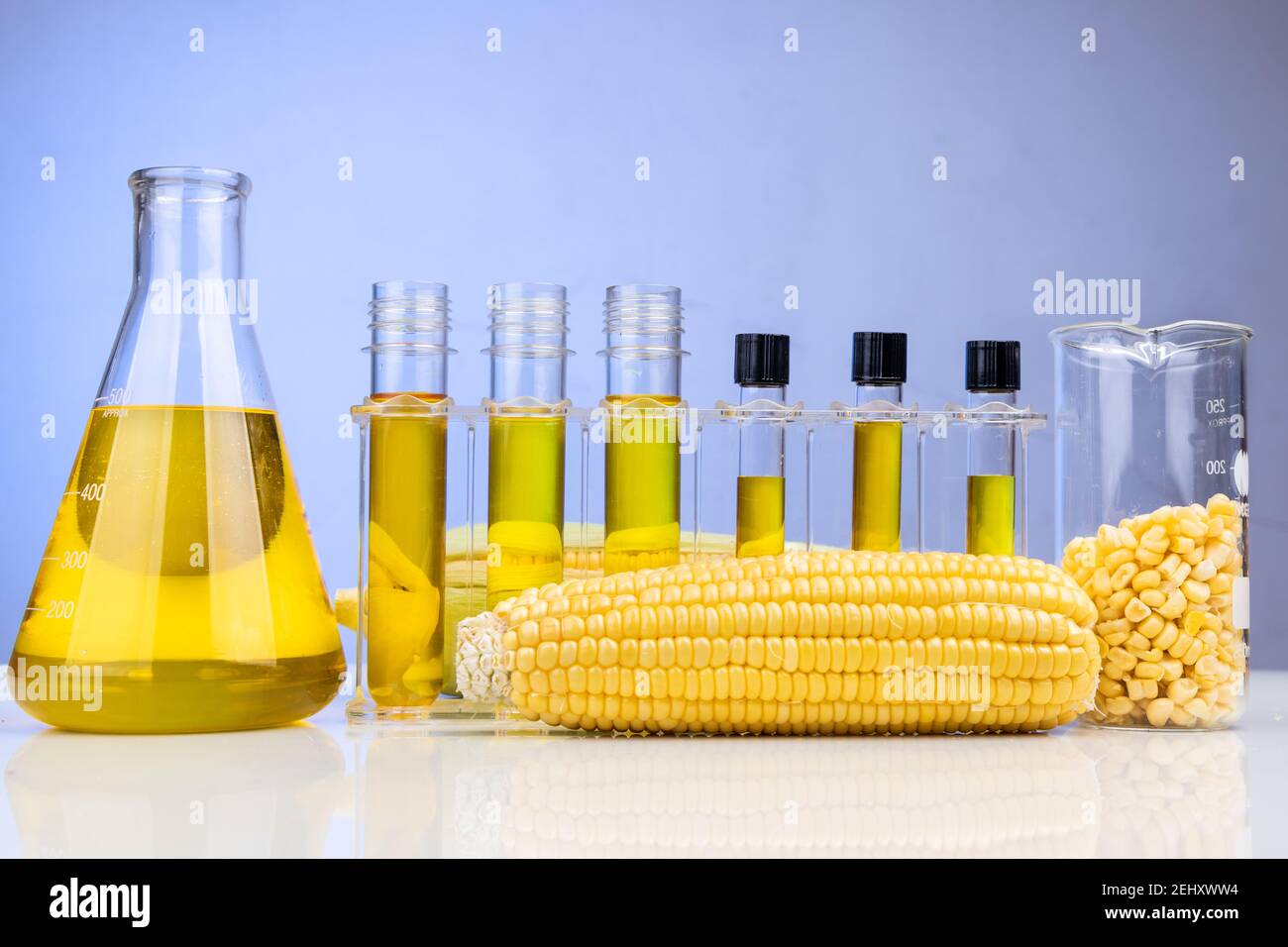 Ethanol biofuel derived from corn maze with beaker test tubes in ...