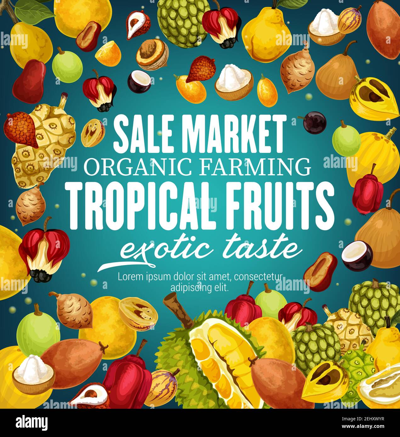 Exotic tropical fruits vector frame. Durian, cherimoya, mangosteen and ...