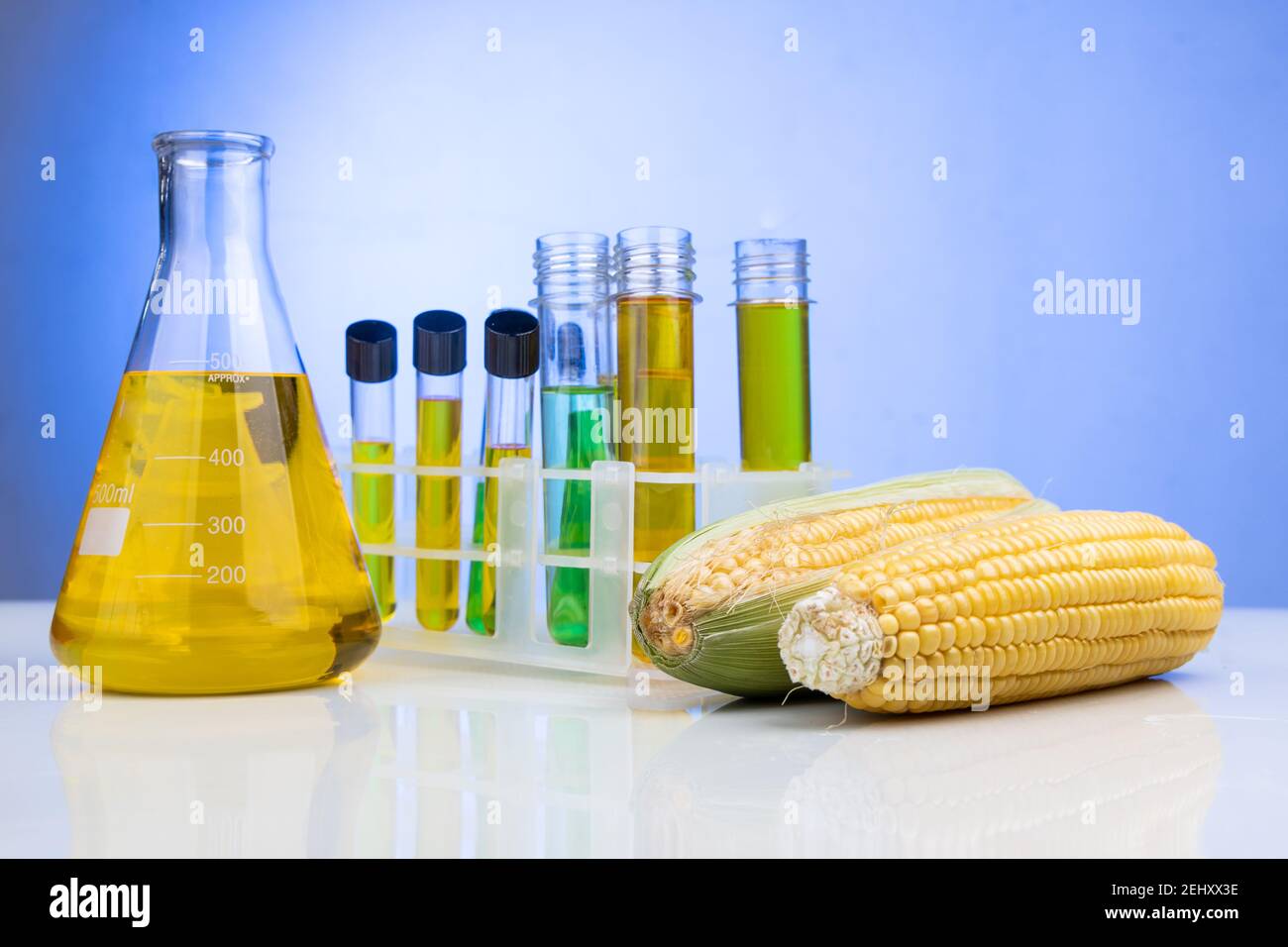Ethanol biofuel derived from corn maze with beaker test tubes in ...