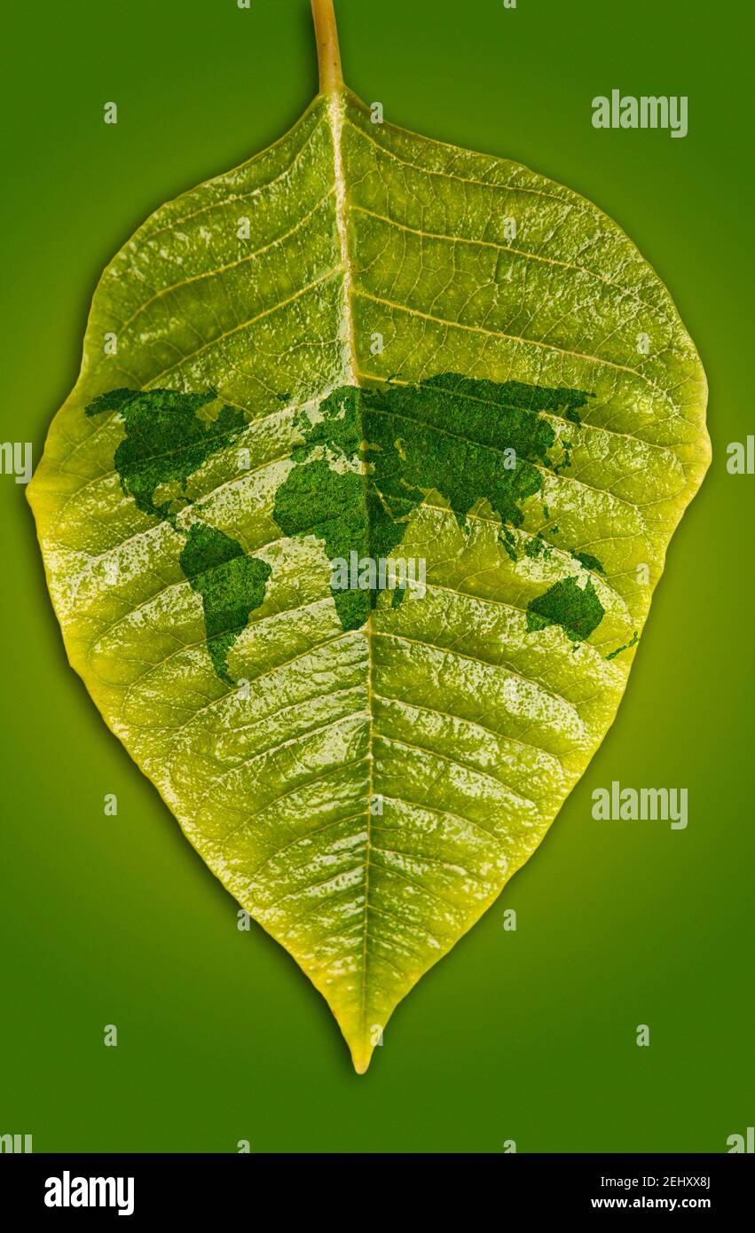 World leaf map hi-res stock photography and images - Alamy