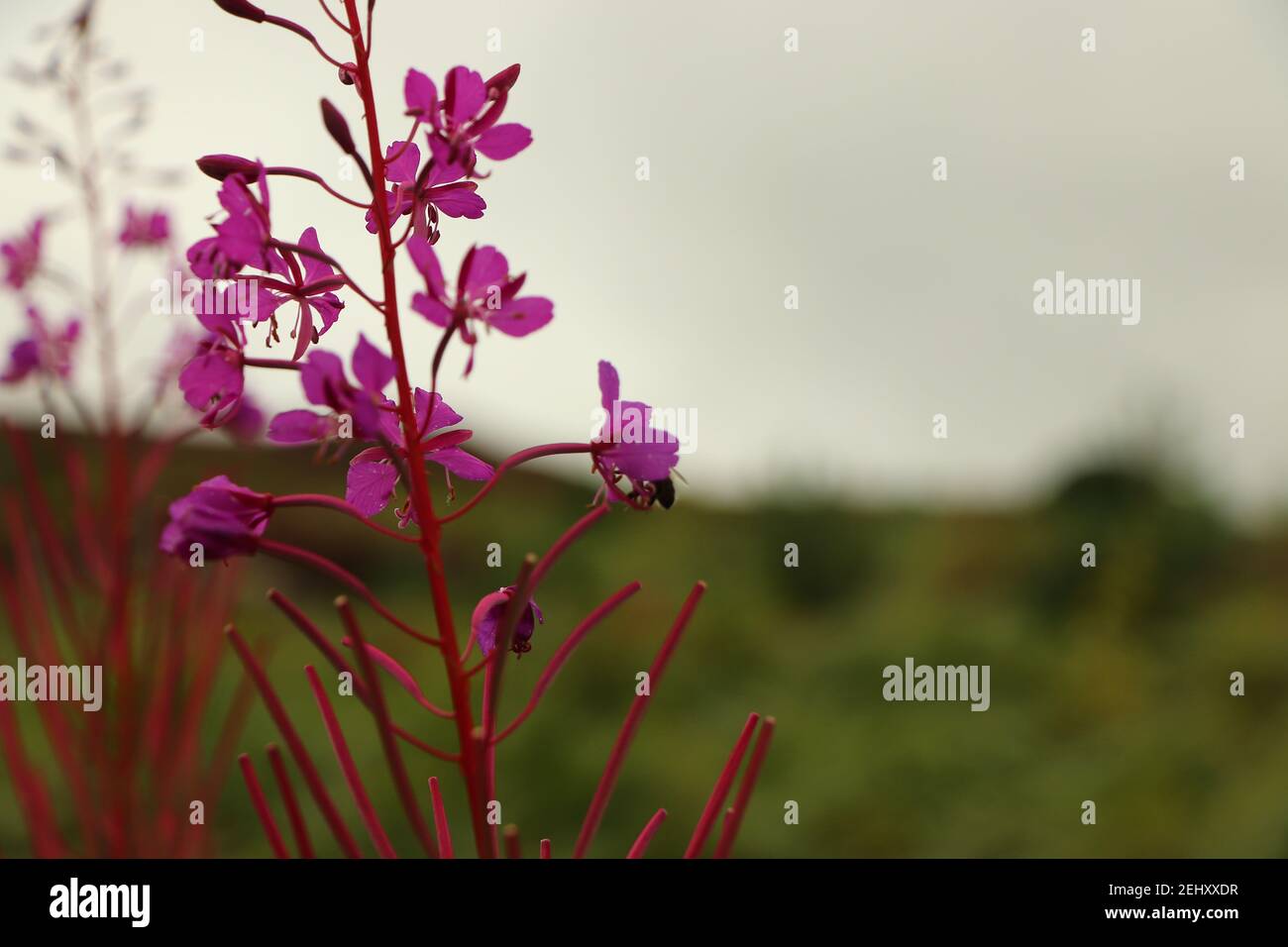 Struy scotland hi-res stock photography and images - Alamy