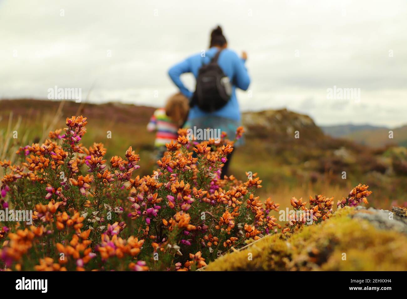 Struy scotland hi-res stock photography and images - Alamy