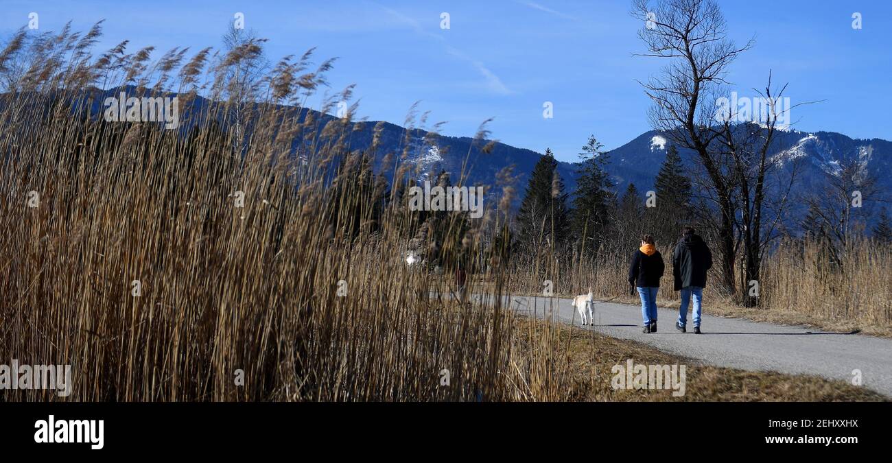 Murnau, Germany. 20th Feb, 2021. Walkers enjoy the sun in the moor area ...