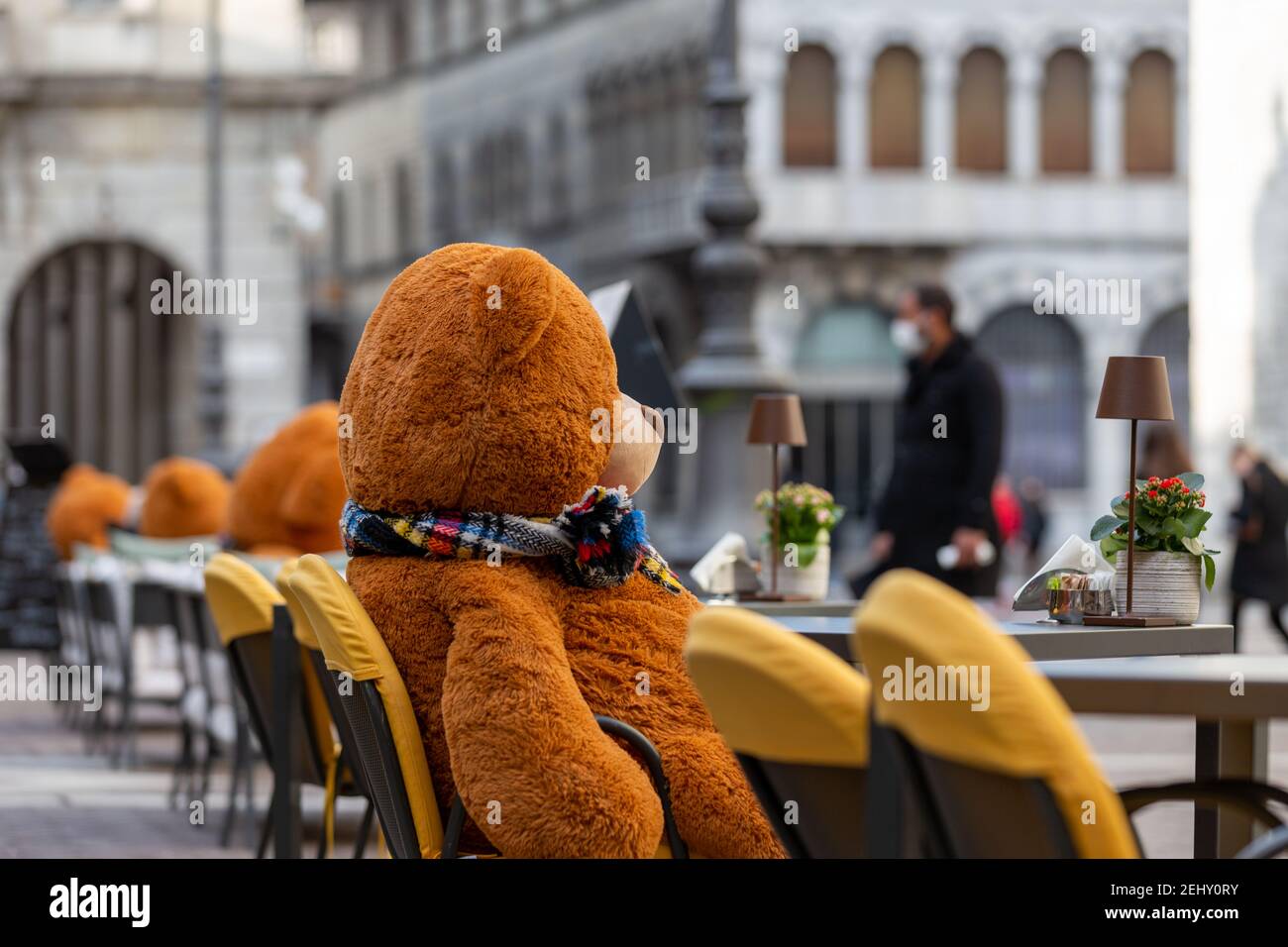 Teddy bear cafe hi-res stock photography and images - Alamy