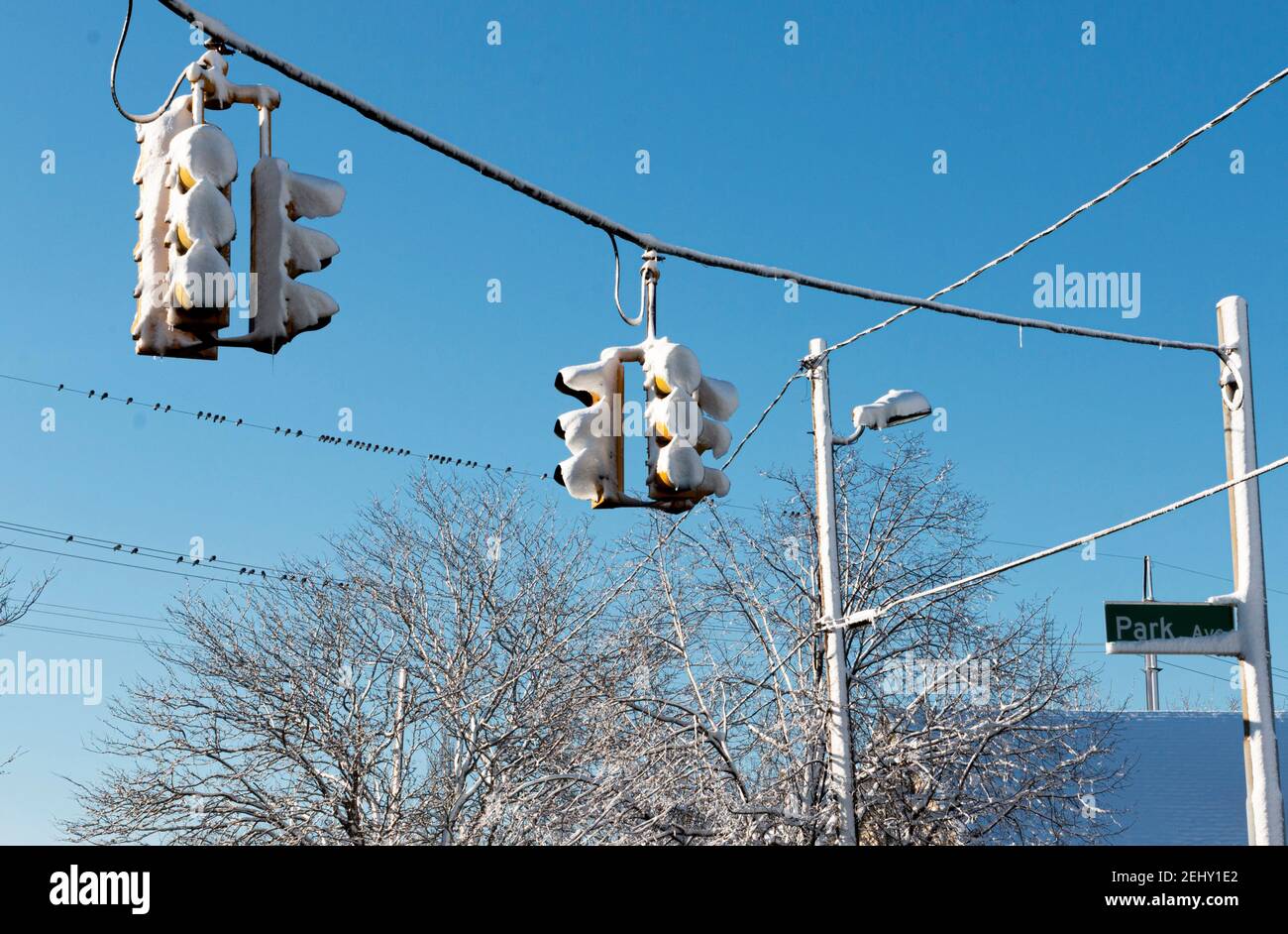 Two traffic lights hanging from a wire are filled with snow after a ...