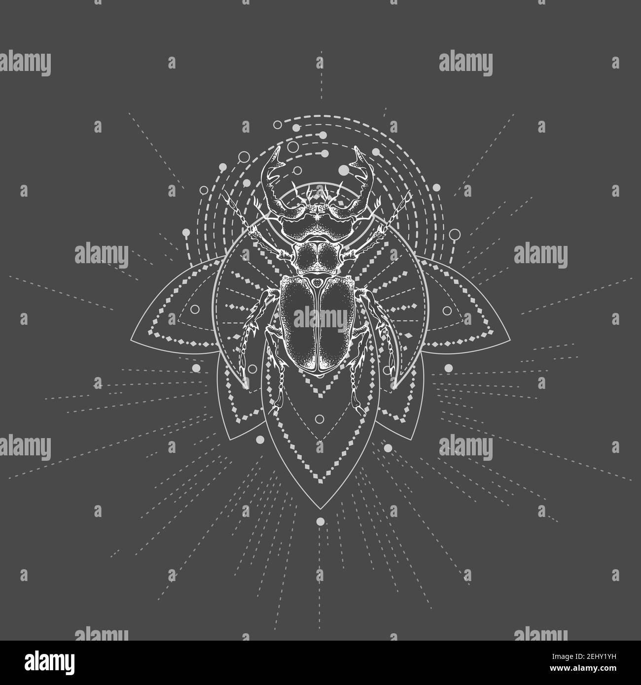 Half insect Black and White Stock Photos & Images - Alamy