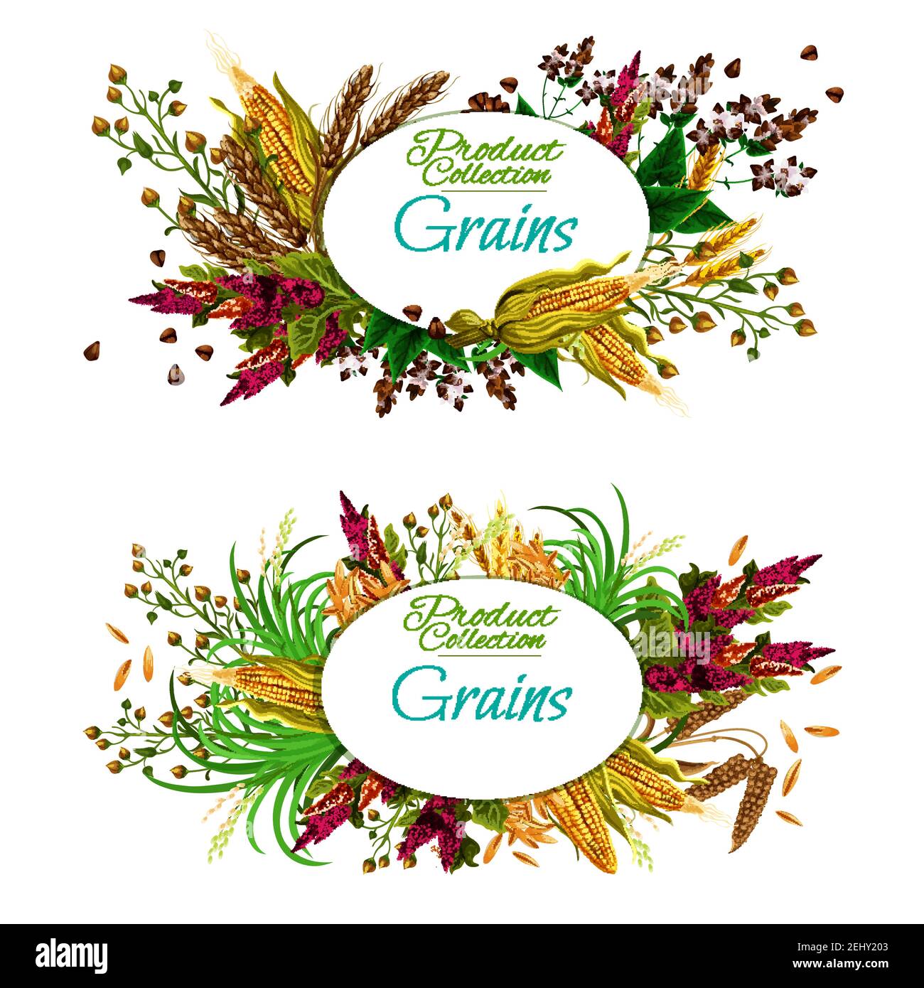 Healthy grains icons for cereal food and agricultural harvest. Corn and ...