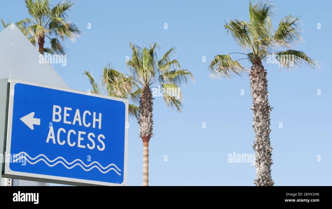 Beach sign and palms in sunny California, USA. Palm trees and seaside ...