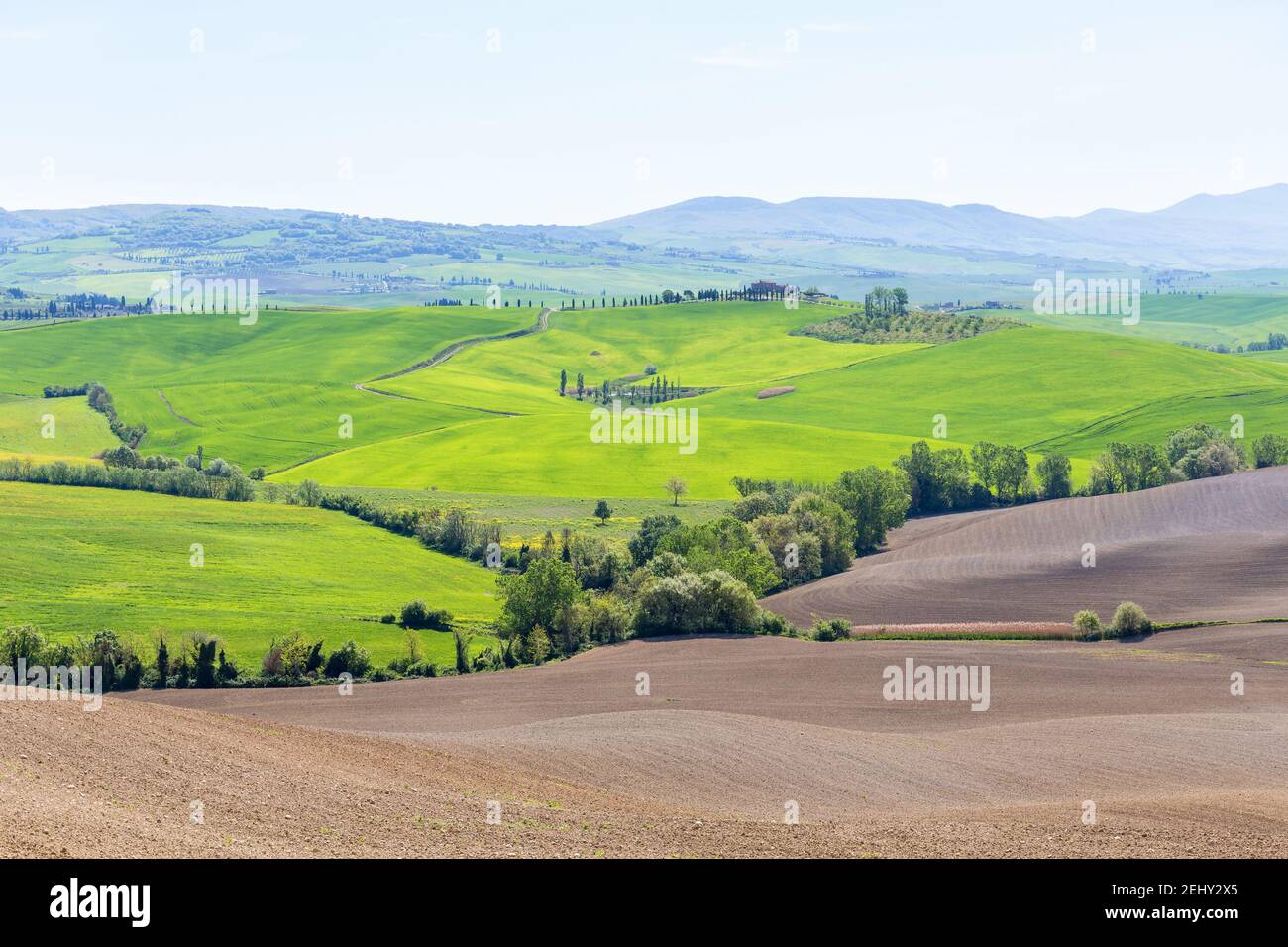 Tuscan soil hi-res stock photography and images - Alamy