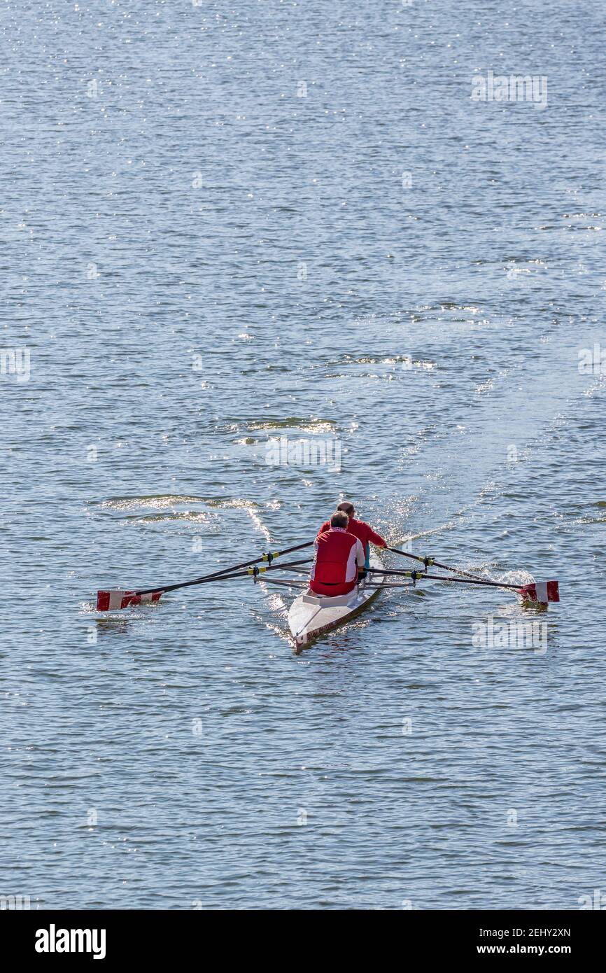 Two older men rowing a Sculling boat Stock Photo - Alamy